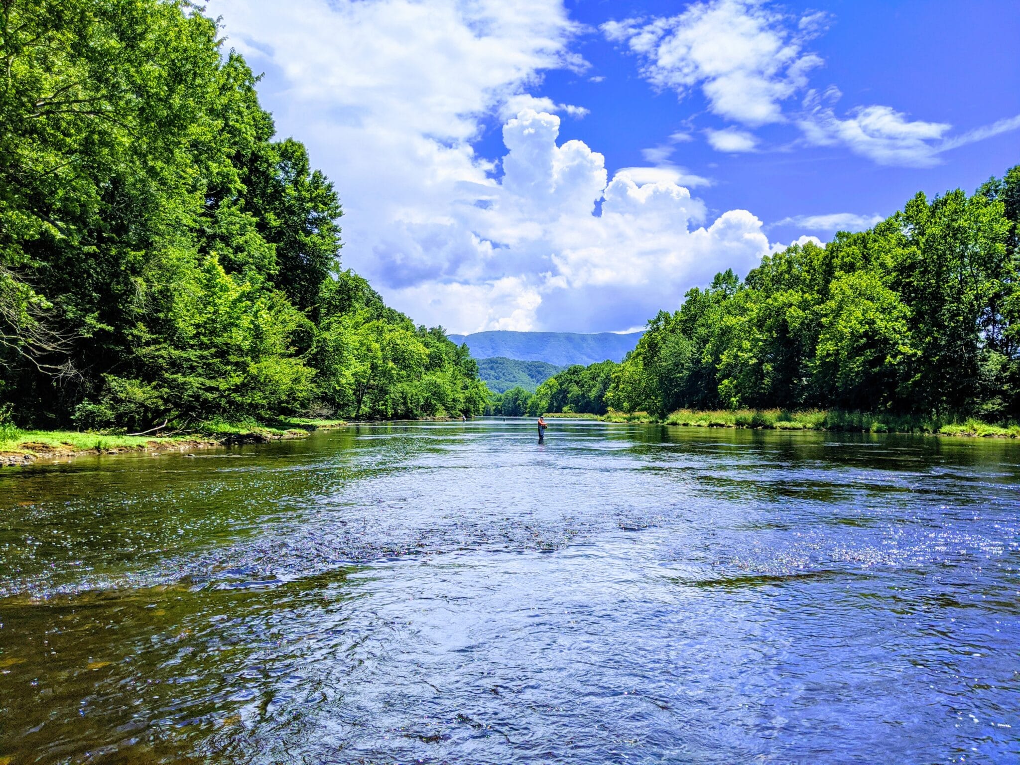 Fly Fish the South Holston River: Is it Worth a Visit? - Save Quit Fish