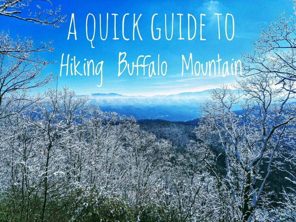 A Quick Guide To Hiking Buffalo Mountain - Save Quit Fish