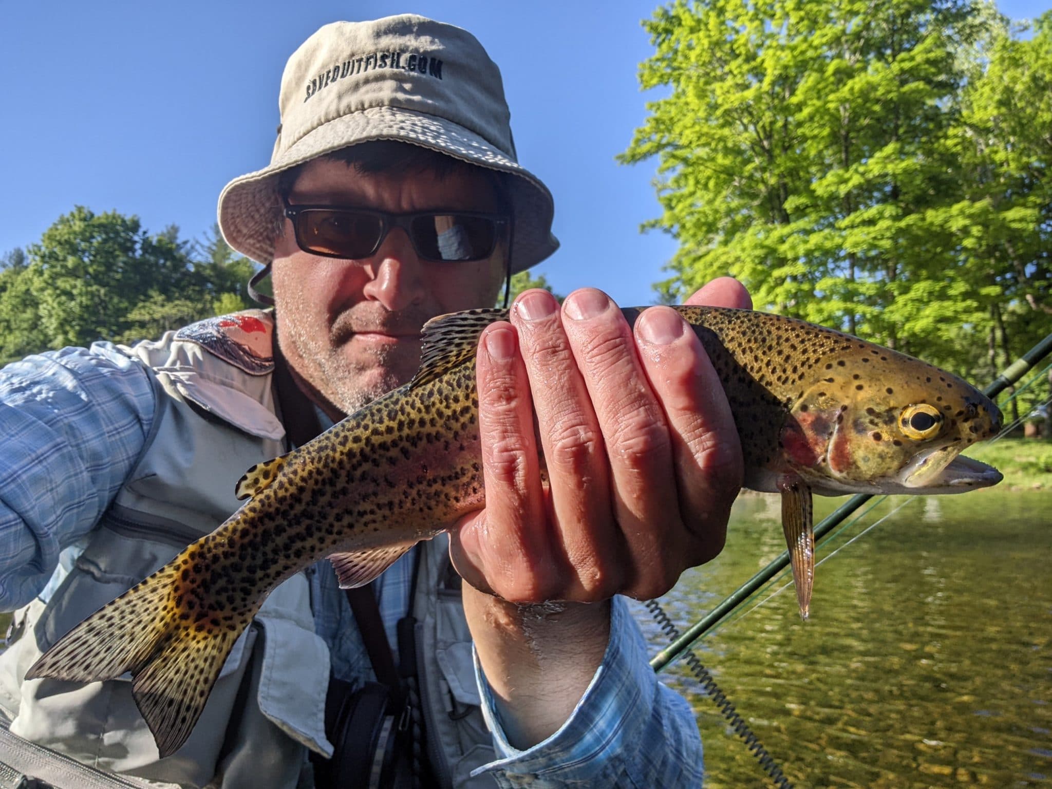 Fly Fishing Tiny Flies On The South Holston - Save Quit Fish